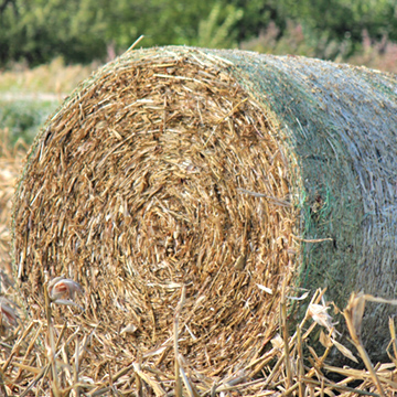 AG Belt - About AG Belt™ CobraFlex™ Baler Belts